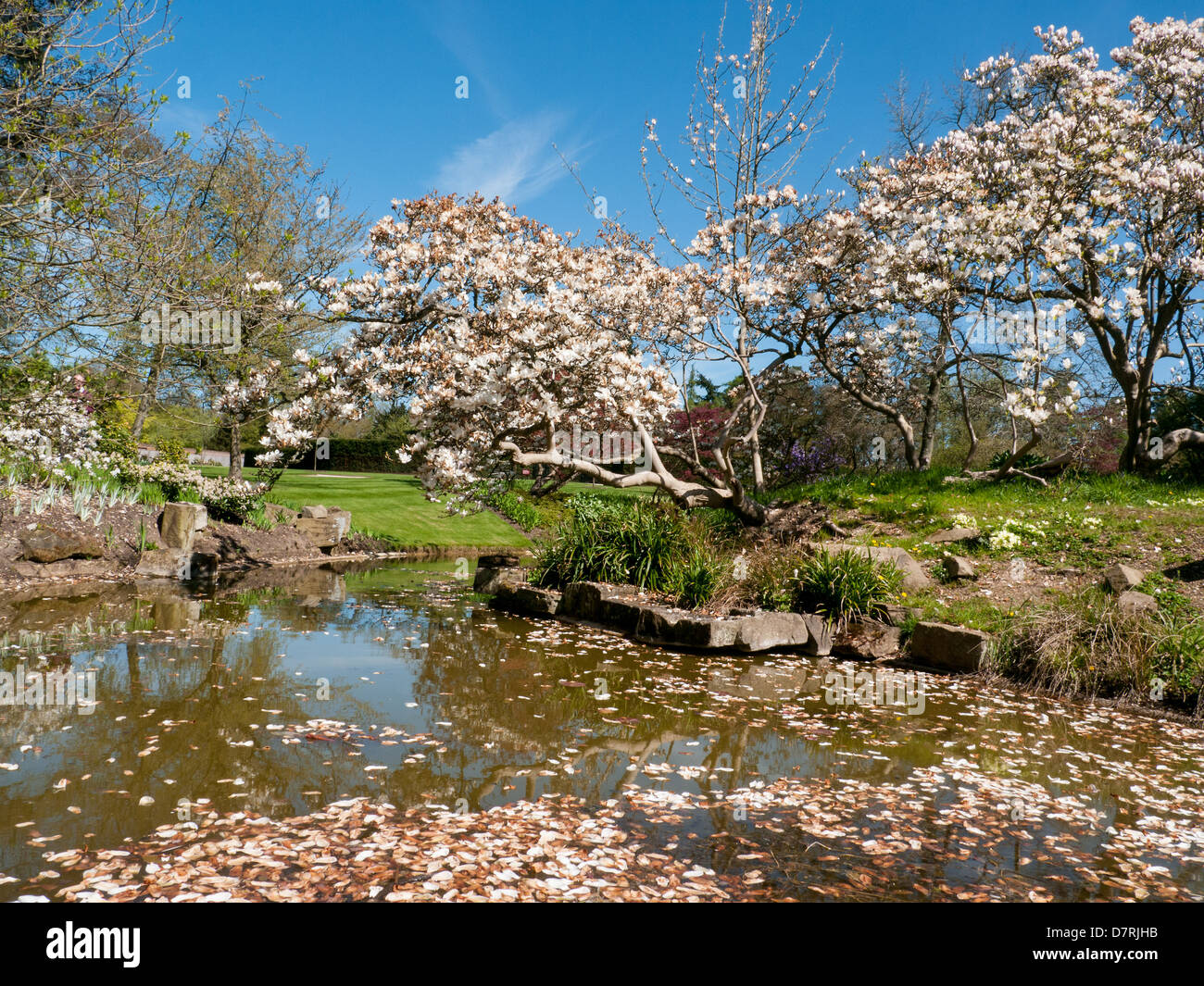 The water garden at Cliveden House, a National Trust Property in Bucks ...