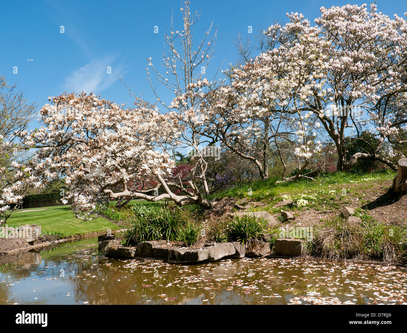 The water garden at Cliveden House, a National Trust Property in Bucks ...