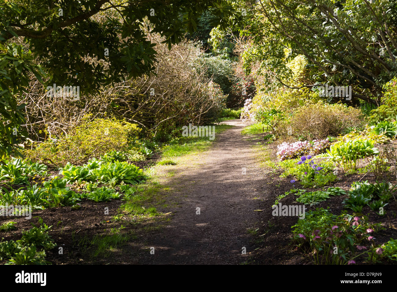 Howick hall and gardens hi-res stock photography and images - Alamy