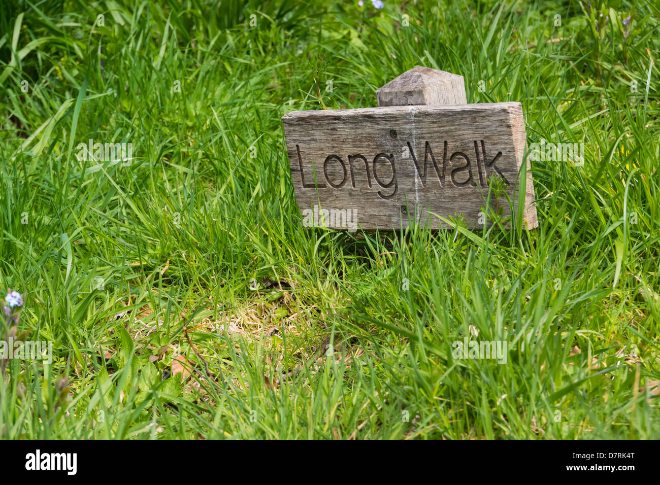 Long grass sign hi-res stock photography and images - Alamy