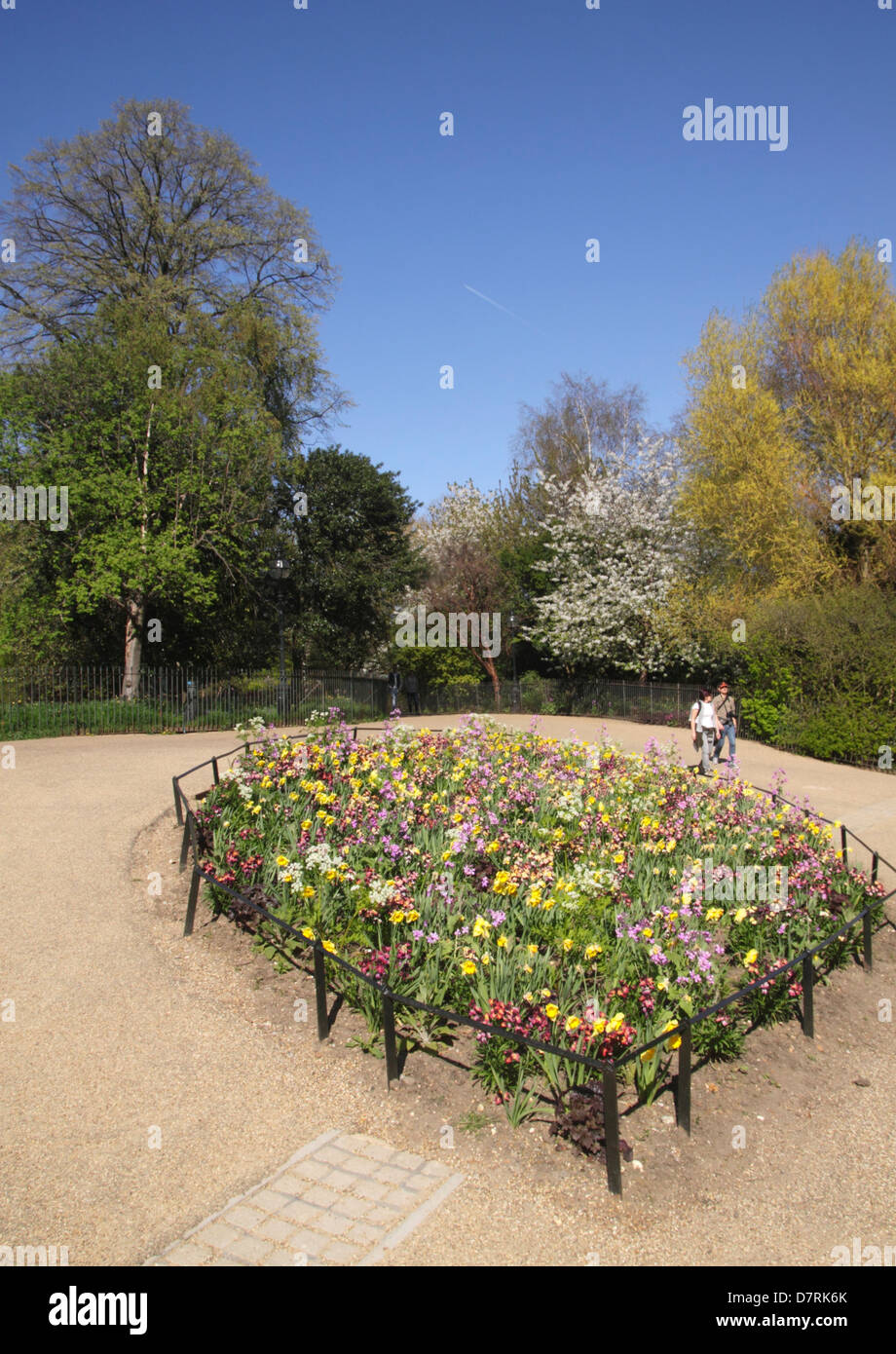 Hyde park london spring flowers hi-res stock photography and images - Alamy