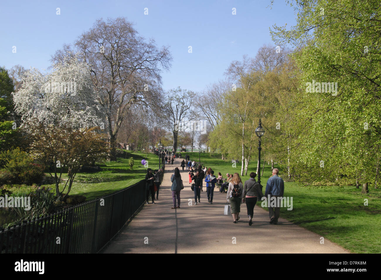 Spring Blossom at Hyde Park London Stock Photo - Alamy