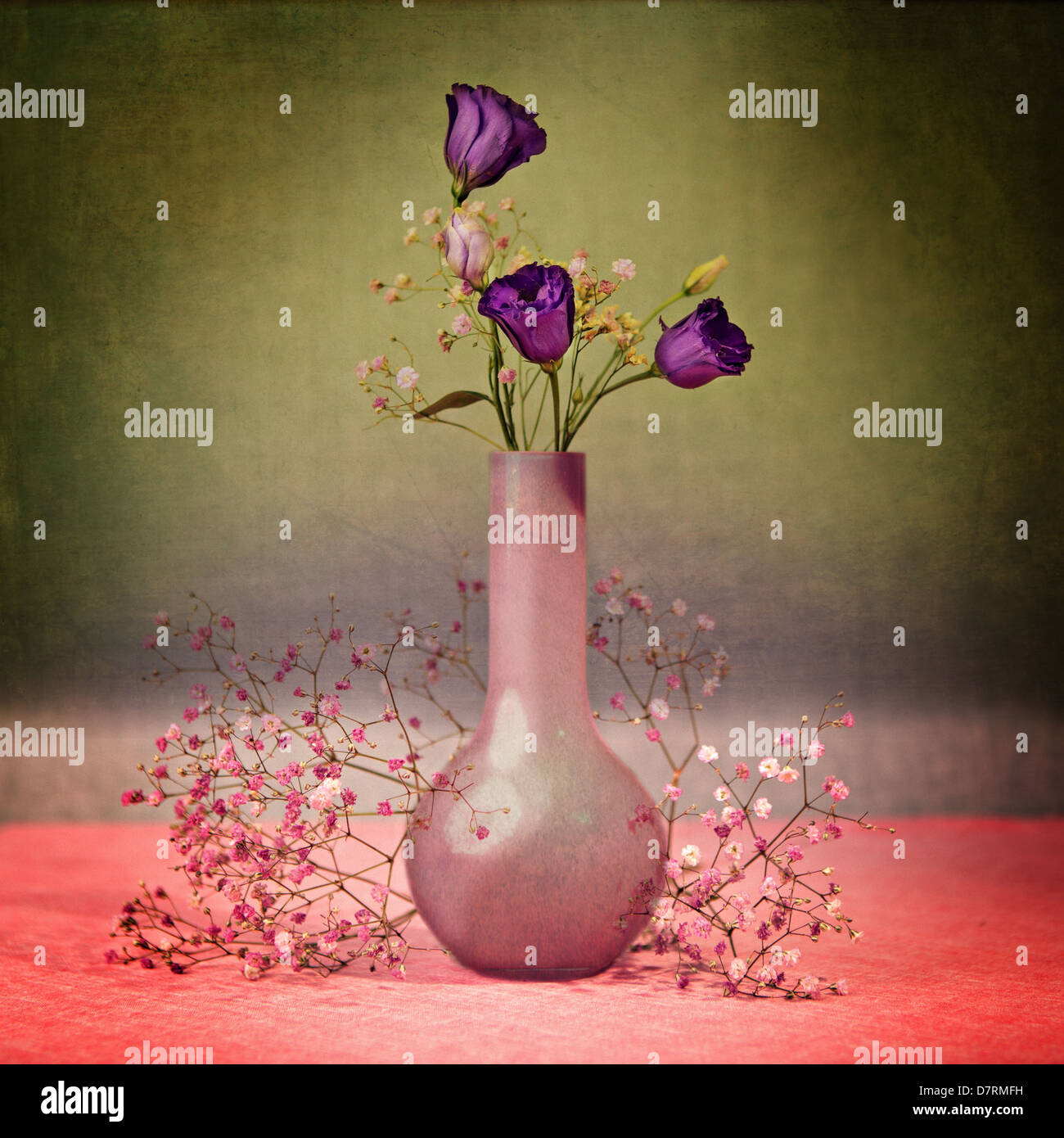 close up shot of Eustoma flowers in the vase Stock Photo - Alamy