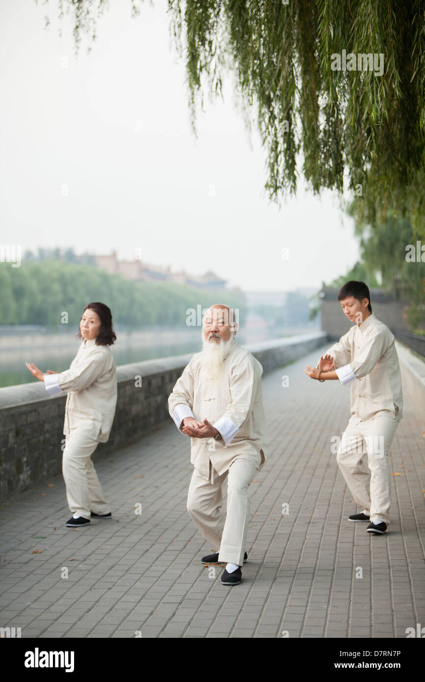 Chinese Practicing Tai Ji Stock Photo - Alamy