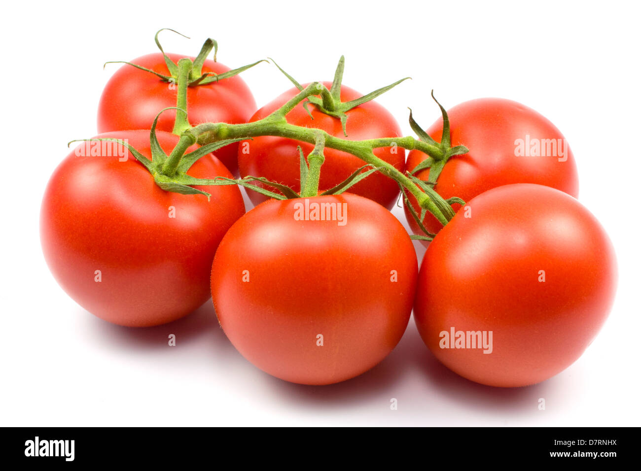 Tomatoes cutout hi-res stock photography and images - Alamy