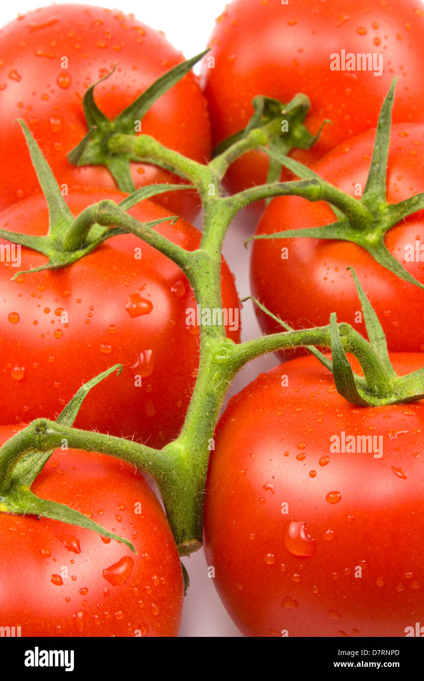 Six vine tomatoes on white background Stock Photo - Alamy