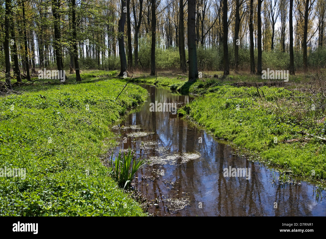 Nature in meerbusch hi-res stock photography and images - Alamy