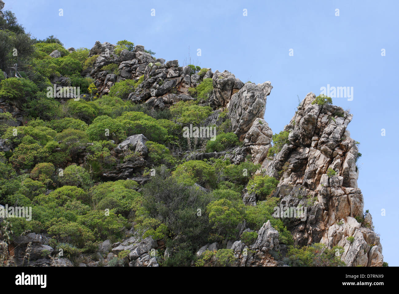 Tree covered ridge hi-res stock photography and images - Alamy