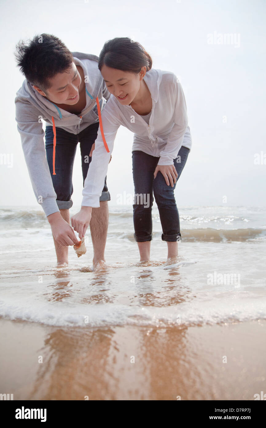 Young couple looking at seashells on the beach Stock Photo - Alamy
