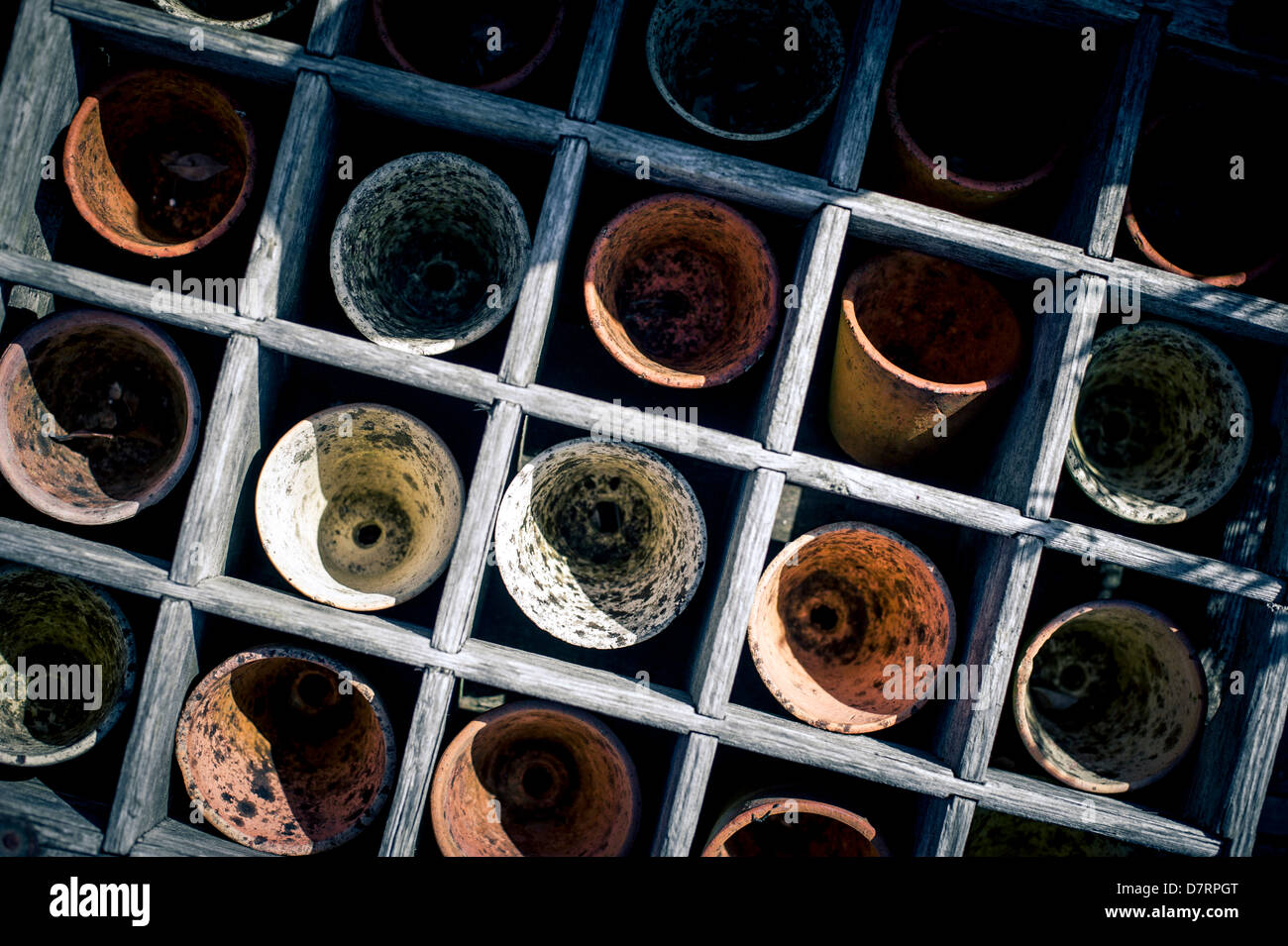 A box containing old used small plant pots used for planting seeds ...