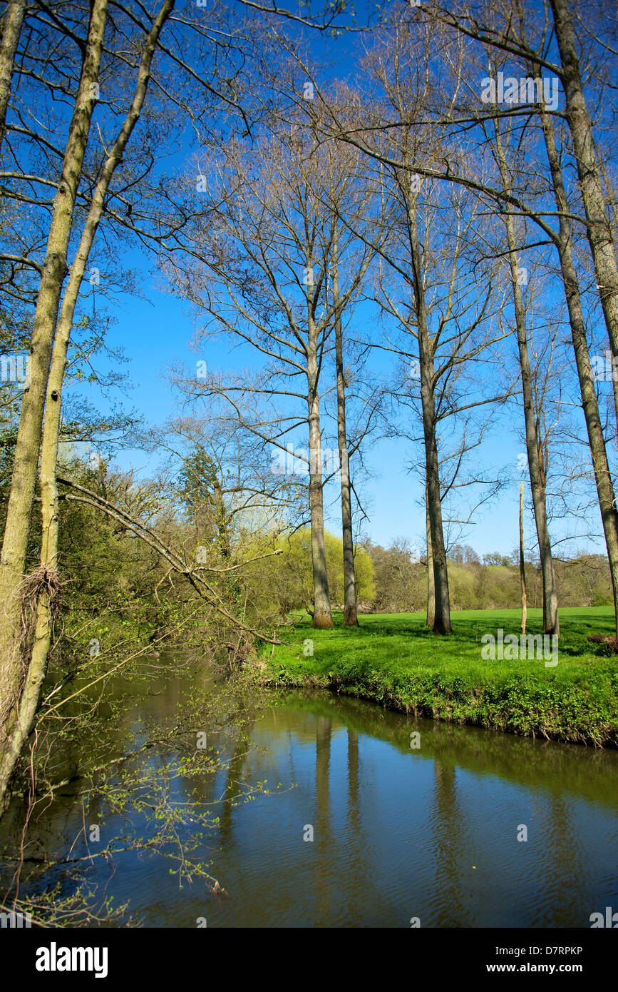 Trees on the banks of the River Mole at Betchworth in Surrey Stock ...