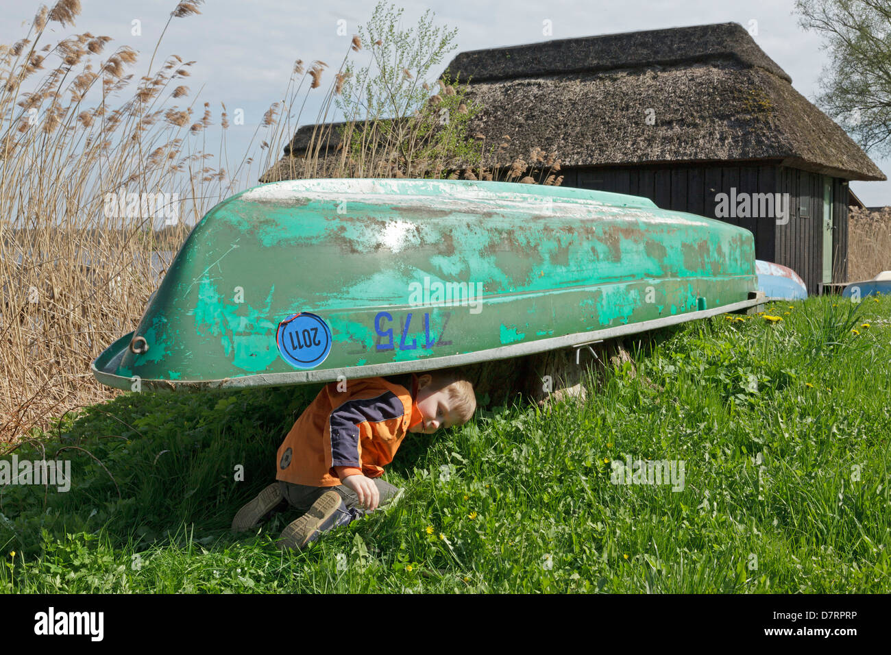 young boy hiding underneath a boat, boathouse at the lakeshore of ...