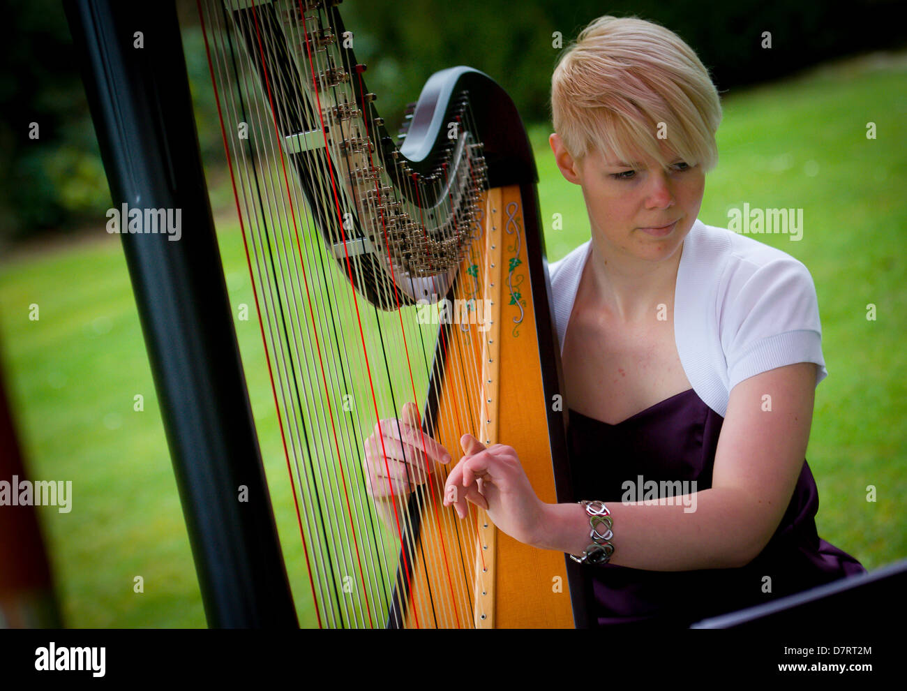 A girl playing a harp at a wedding Stock Photo - Alamy