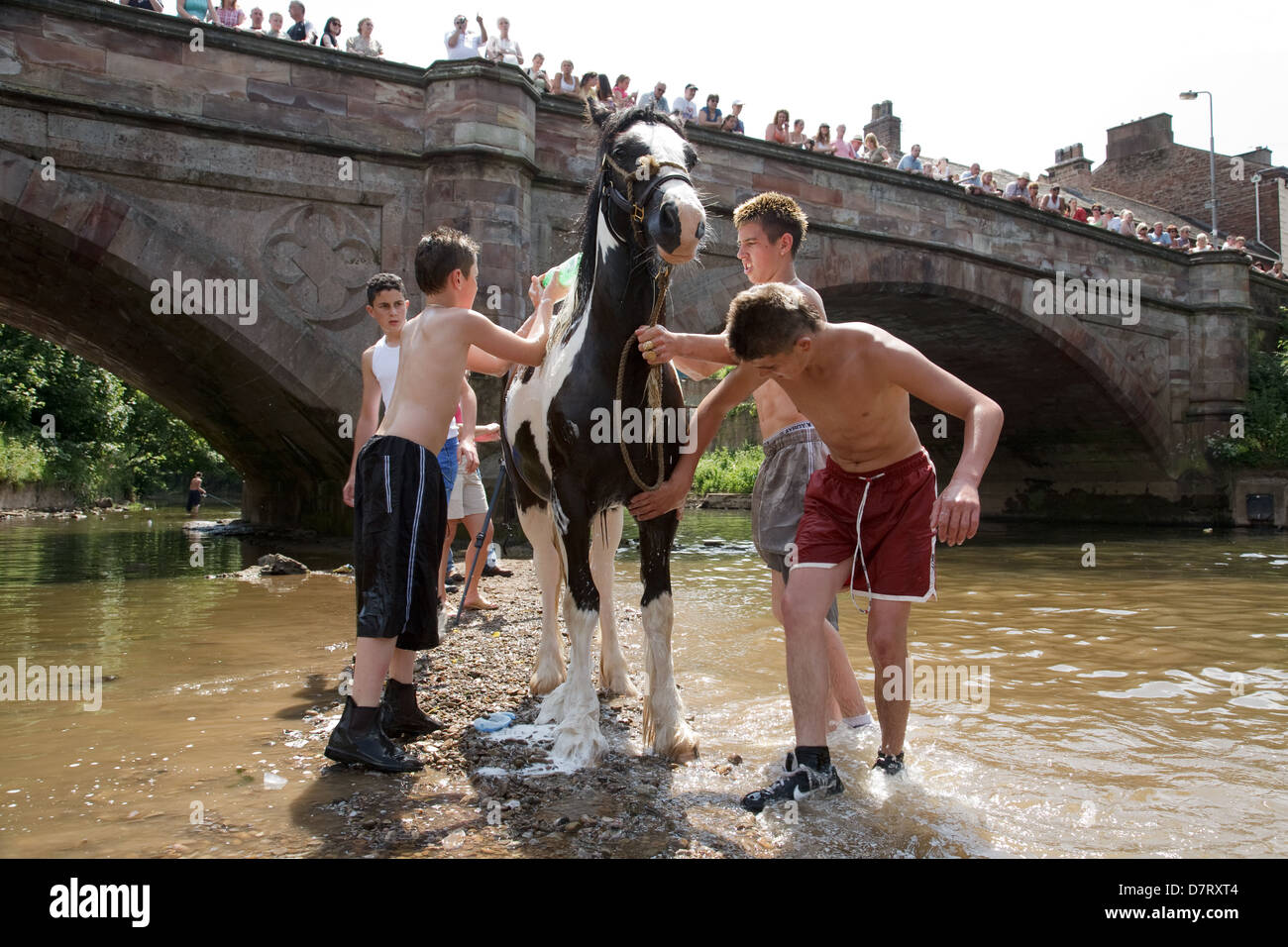 Boys washing a horse in the river at Appleby Fair, an annual gathering ...