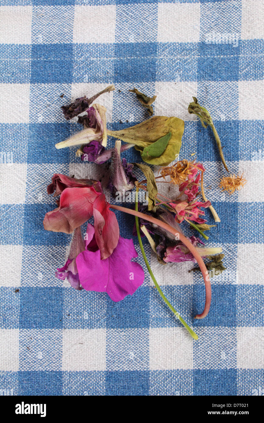 Check trim hi-res stock photography and images - Alamy