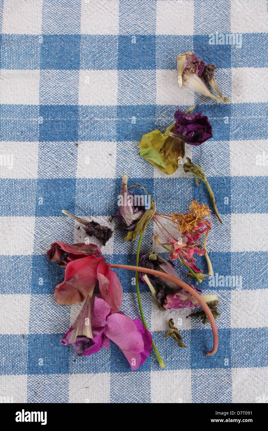 Check trim hi-res stock photography and images - Alamy