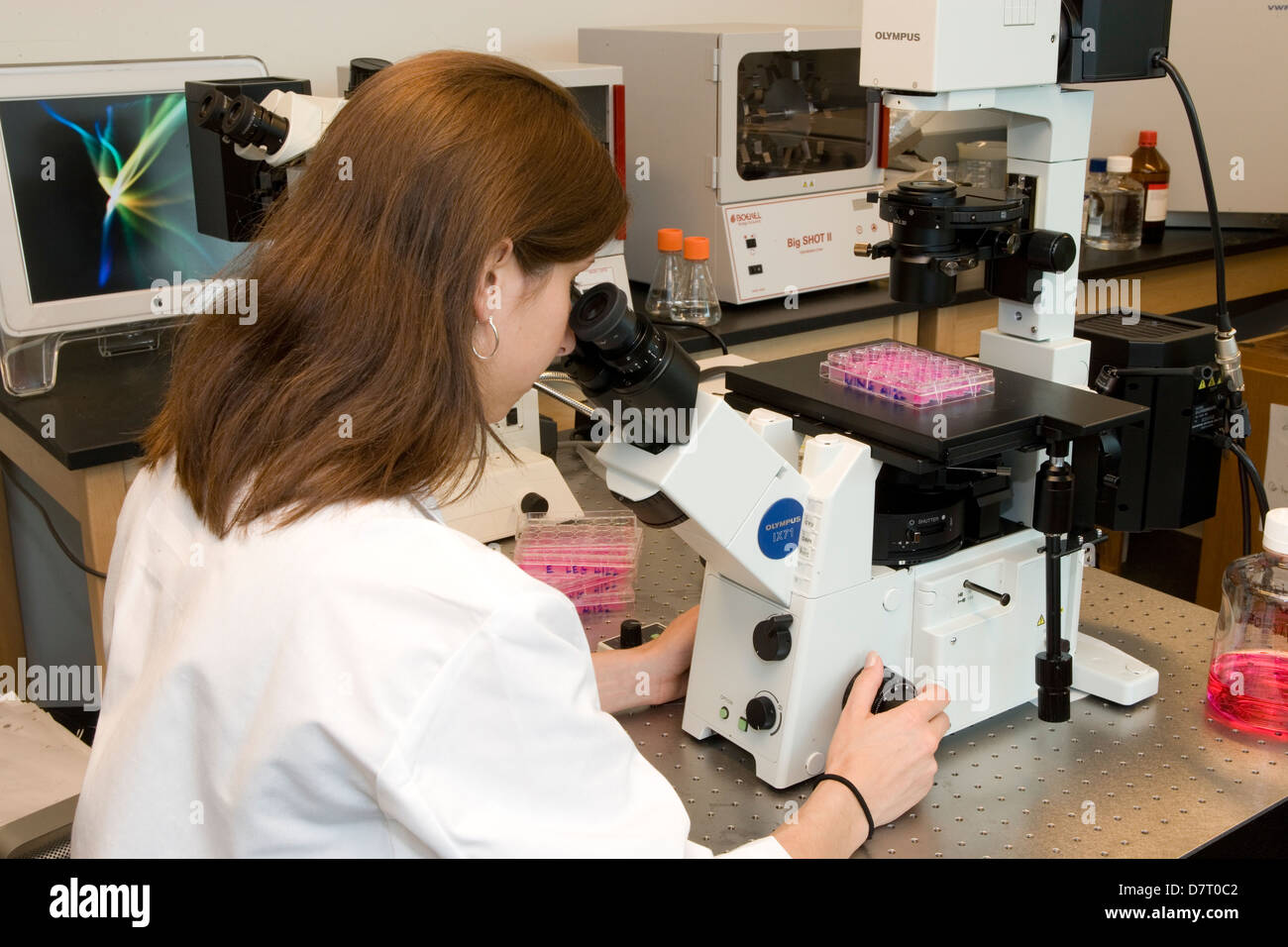 medical laboratory / microscope Stock Photo - Alamy
