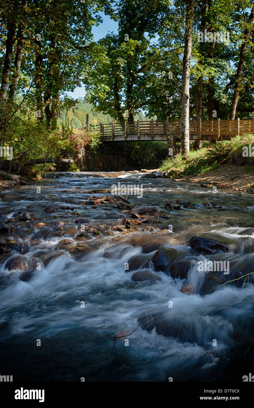 USA, Oregon, Scio, Crabtree Creek in early Autumn, from Larwood Wayside ...