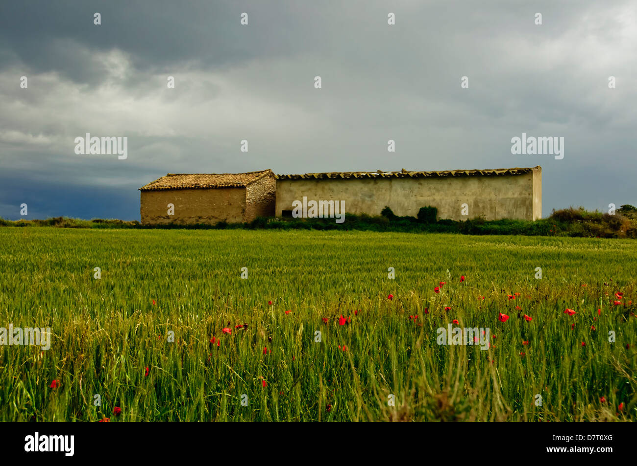 Monegros meadow in spring lecinena aragon hi-res stock photography and ...