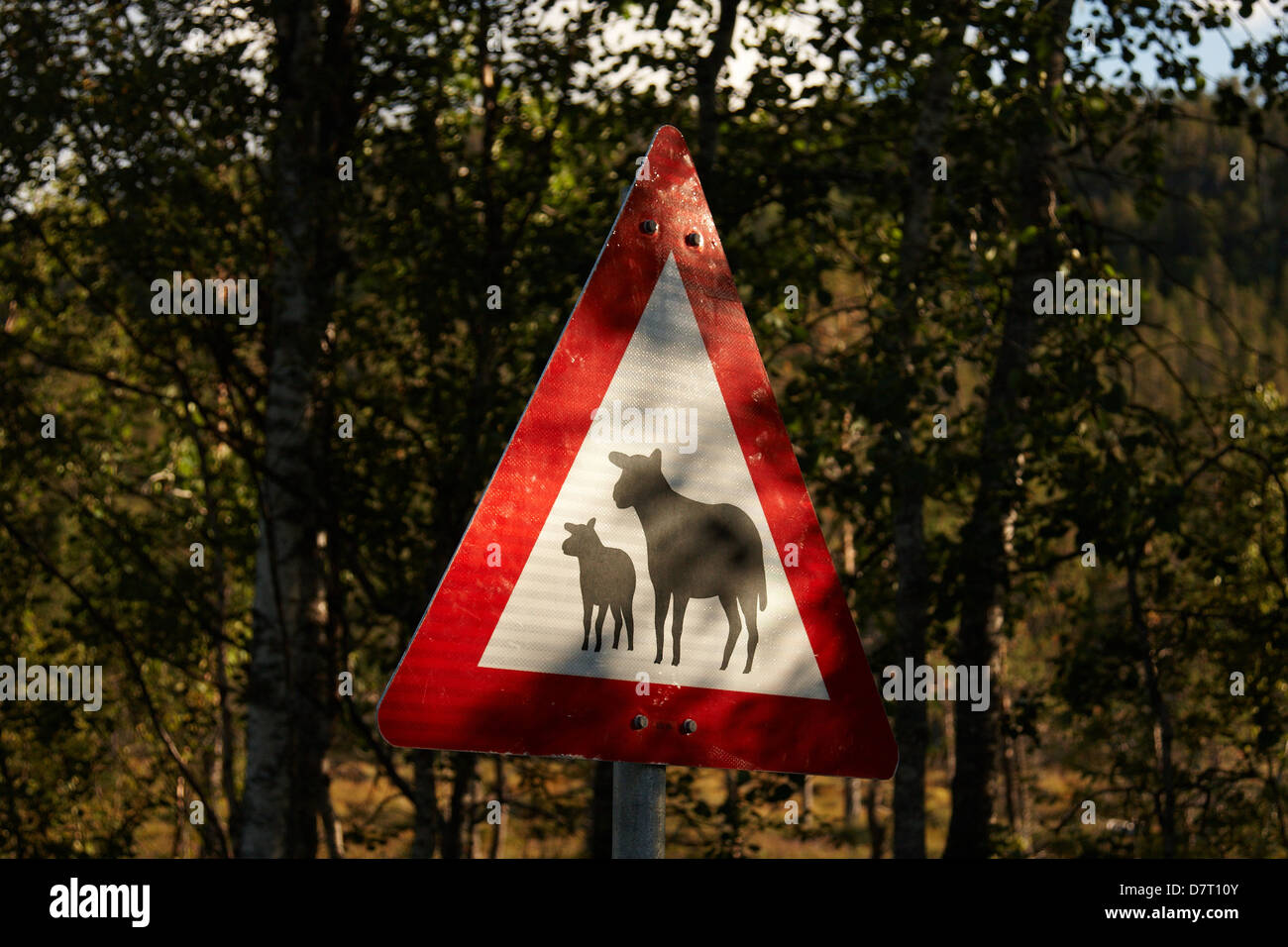 Norwegian road sign hi-res stock photography and images - Alamy