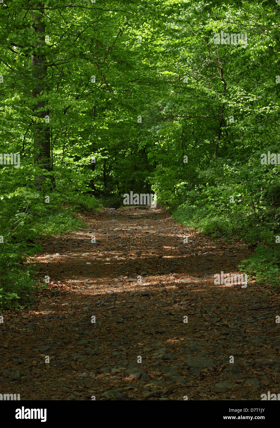 walkway in park at spring Stock Photo - Alamy
