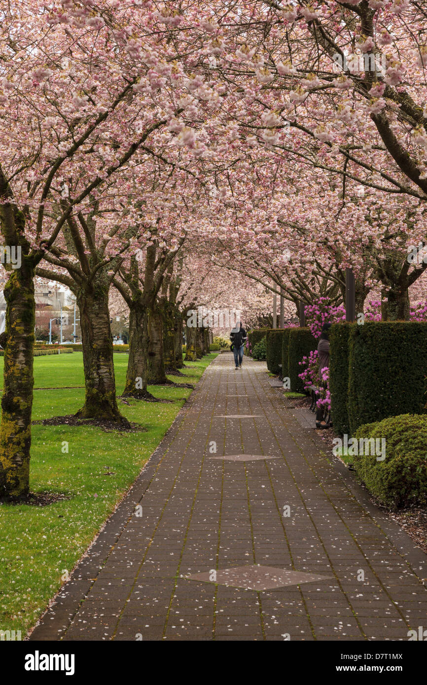 USA, Oregon, Salem, State Capitol State Park in early spring Stock ...