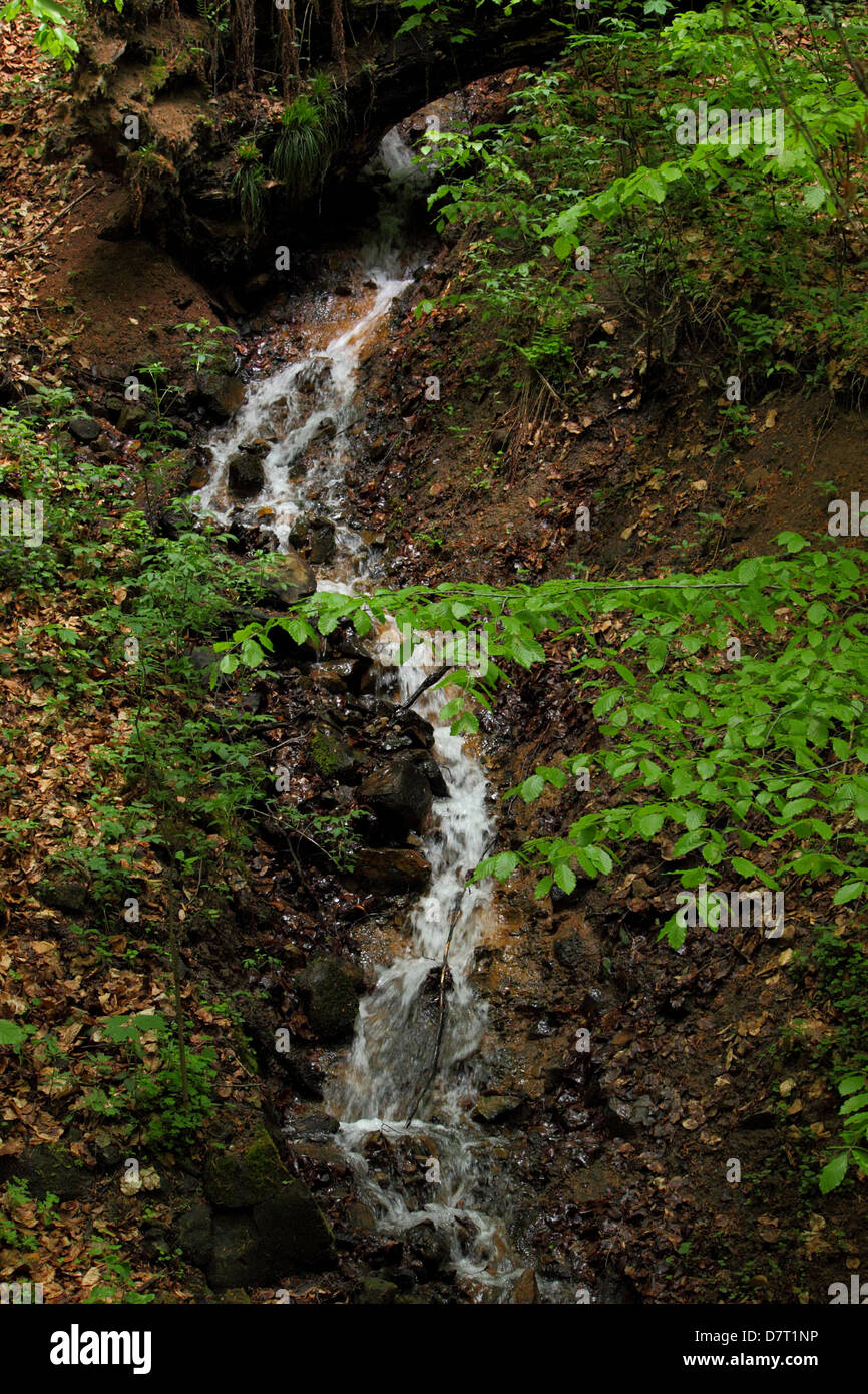 brook in mountains at spring Stock Photo - Alamy
