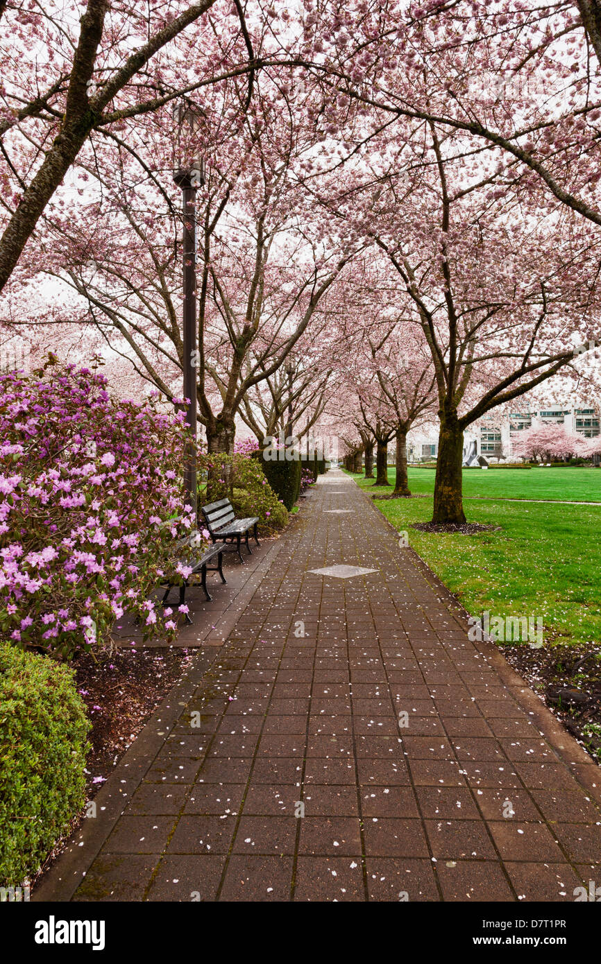 Salem oregon park hi-res stock photography and images - Alamy