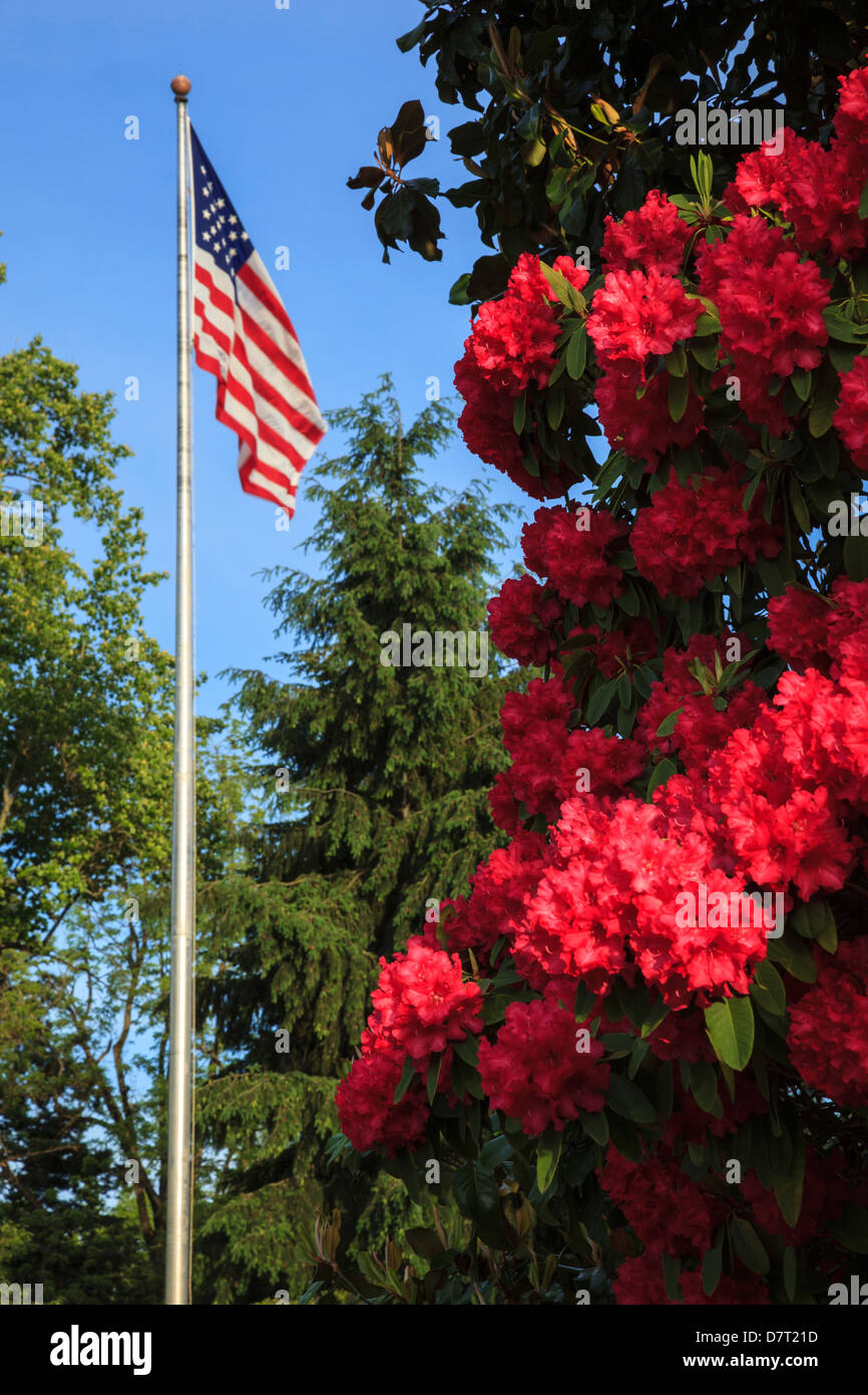 USA, Oregon, Salem, State Capitol, Azaleas and US flag Stock Photo - Alamy