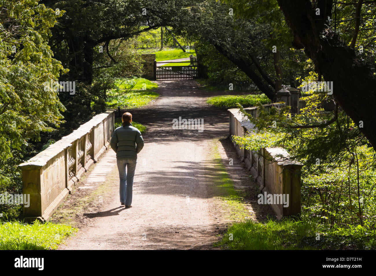 Howick Hall in Northumberland, the home of Earl Grey Stock Photo - Alamy