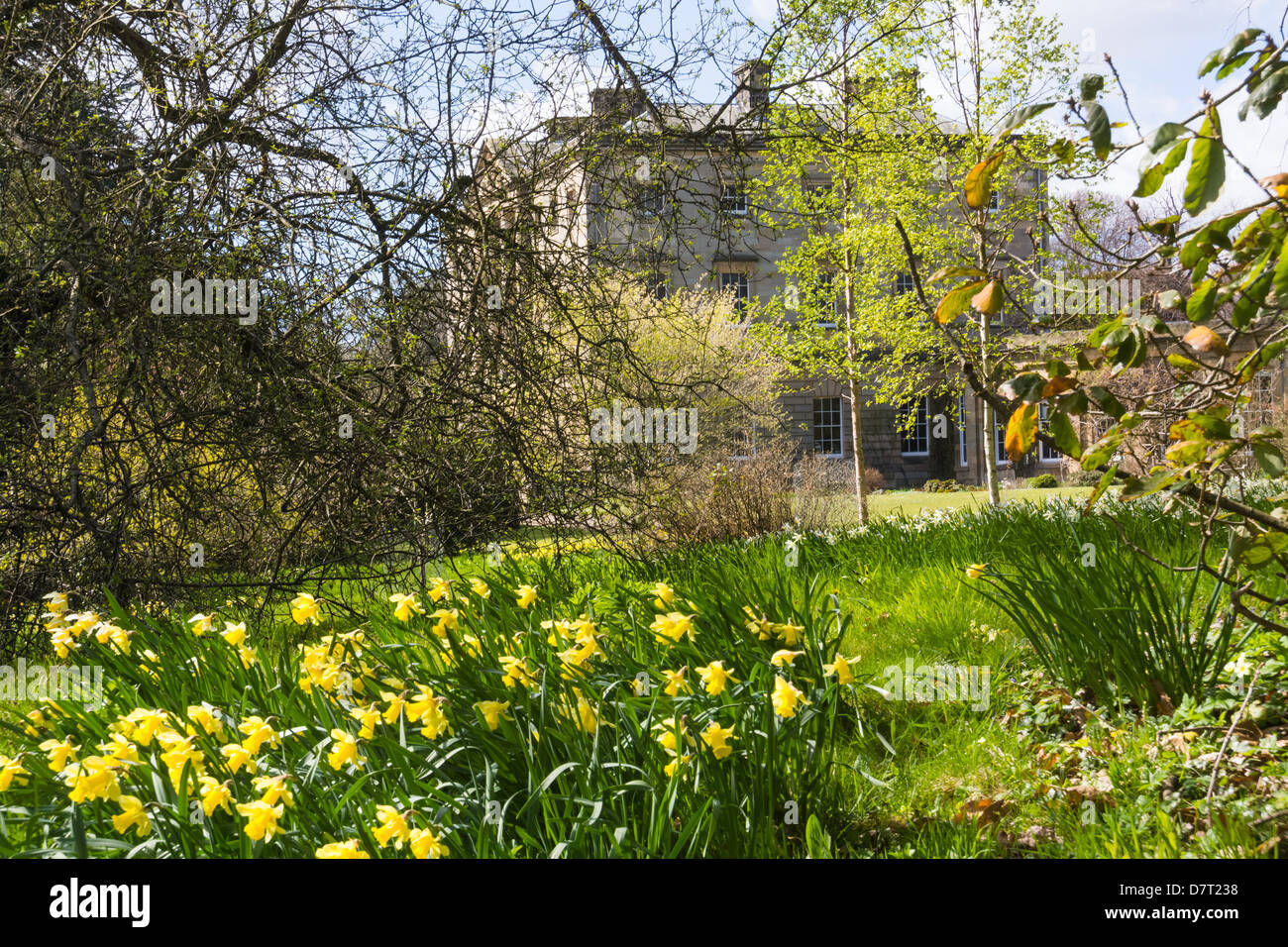 Howick hall and gardens hi-res stock photography and images - Alamy