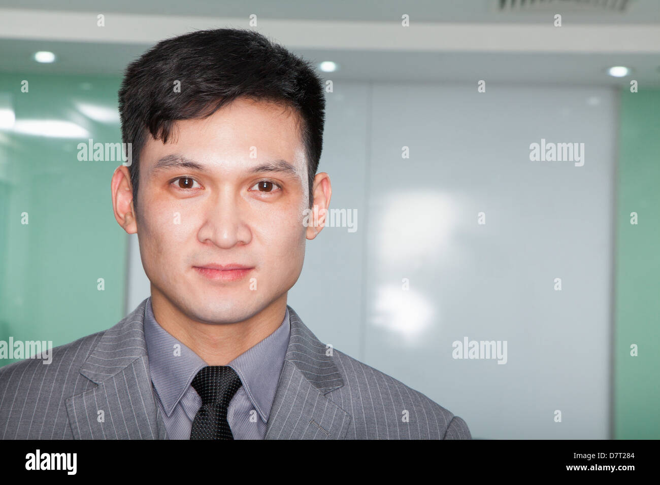 Portrait of Businessman Stock Photo - Alamy