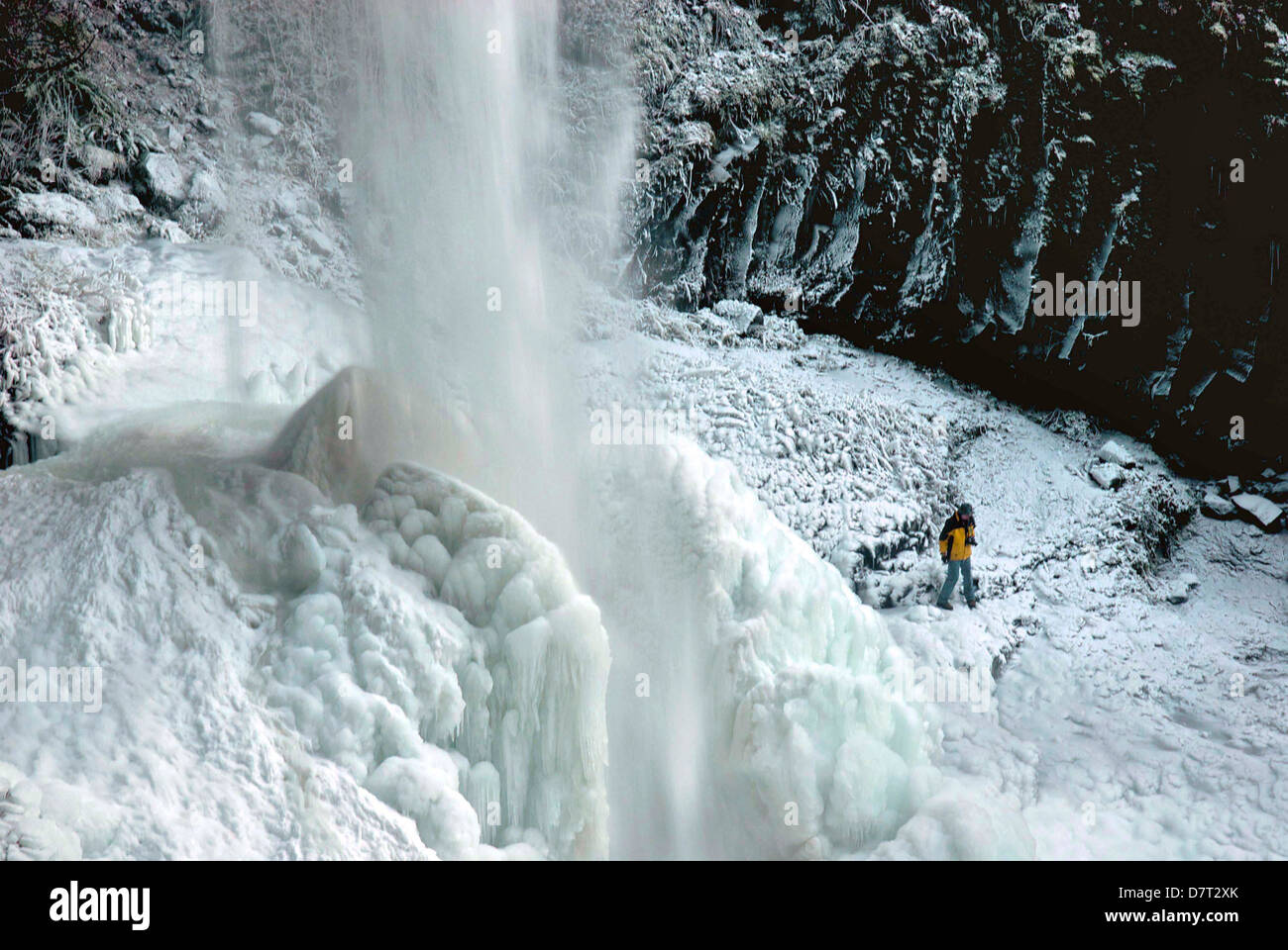 Unusual Ice Formation, North Falls, Silver Falls State Park, Oregon ...