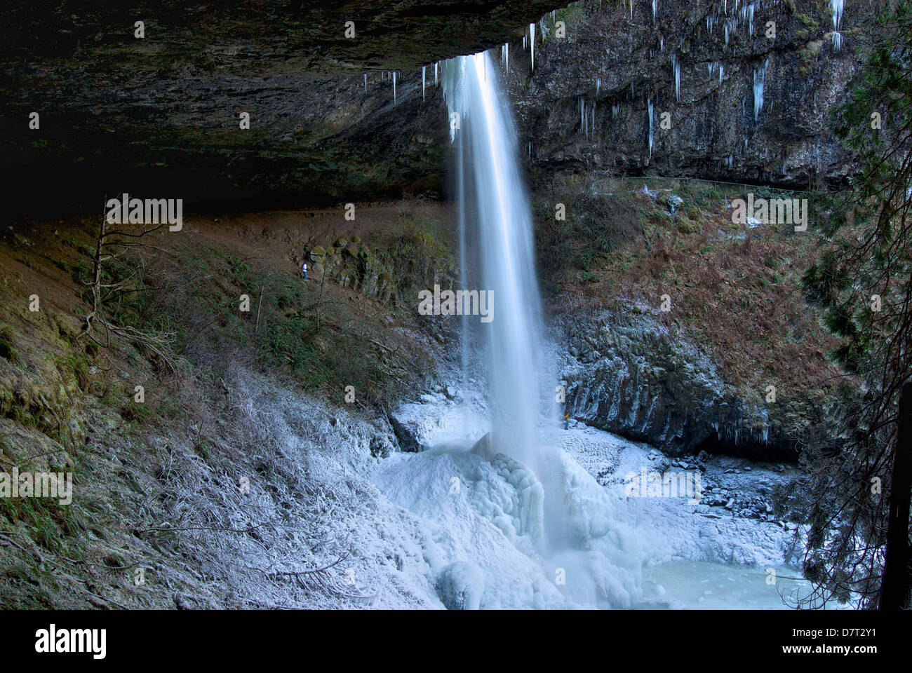 Unusual Ice Formation, North Falls, Silver Falls State Park, Oregon ...