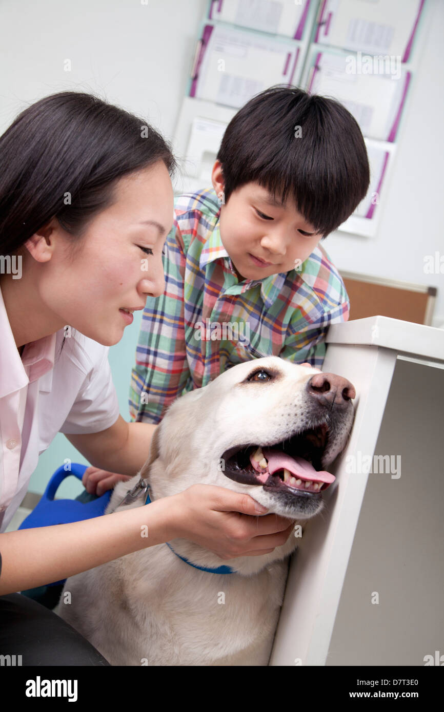 Boy with pet dog in veterinarian's office Stock Photo - Alamy
