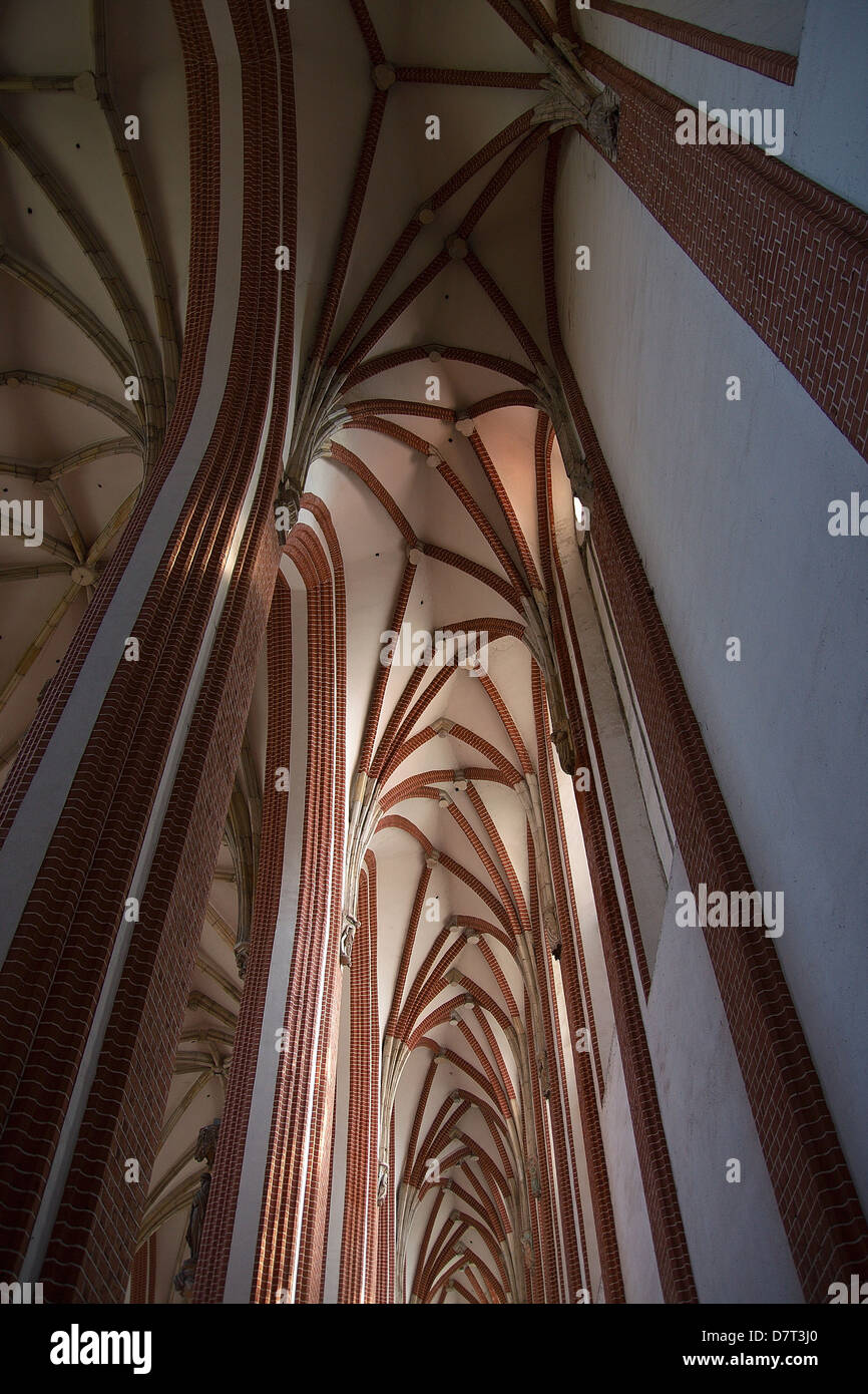 Vaulted ceilings in the Gothic church Stock Photo - Alamy