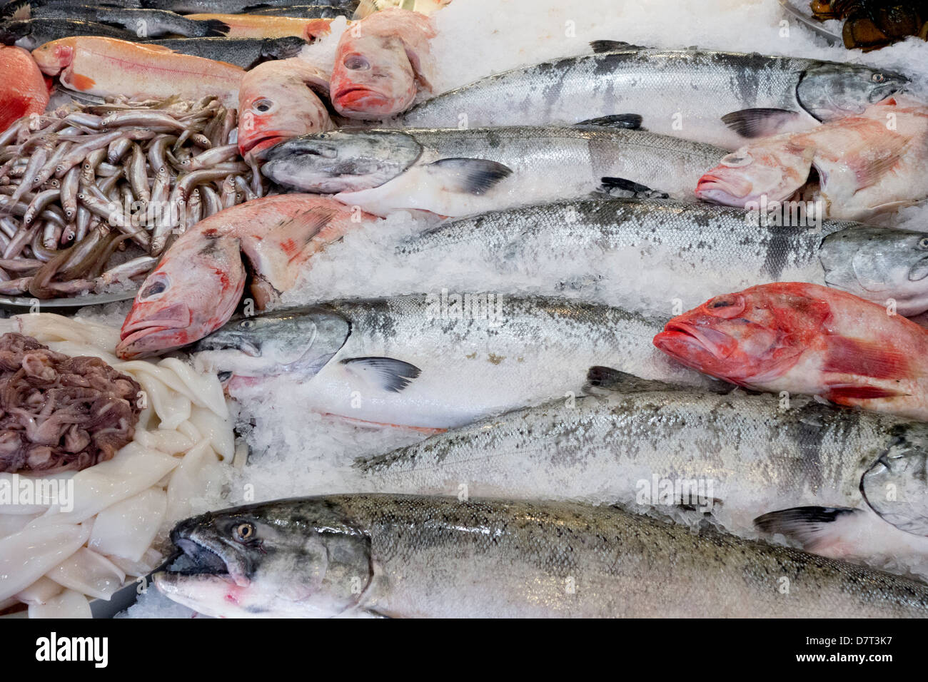 Seattle Fish High Resolution Stock Photography and Images - Alamy