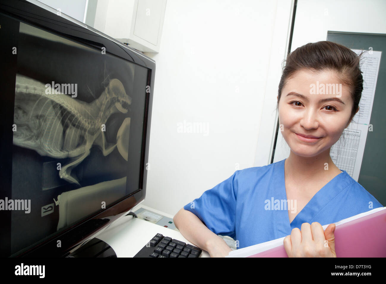 X Ray Veterinarian High Resolution Stock Photography and Images - Alamy