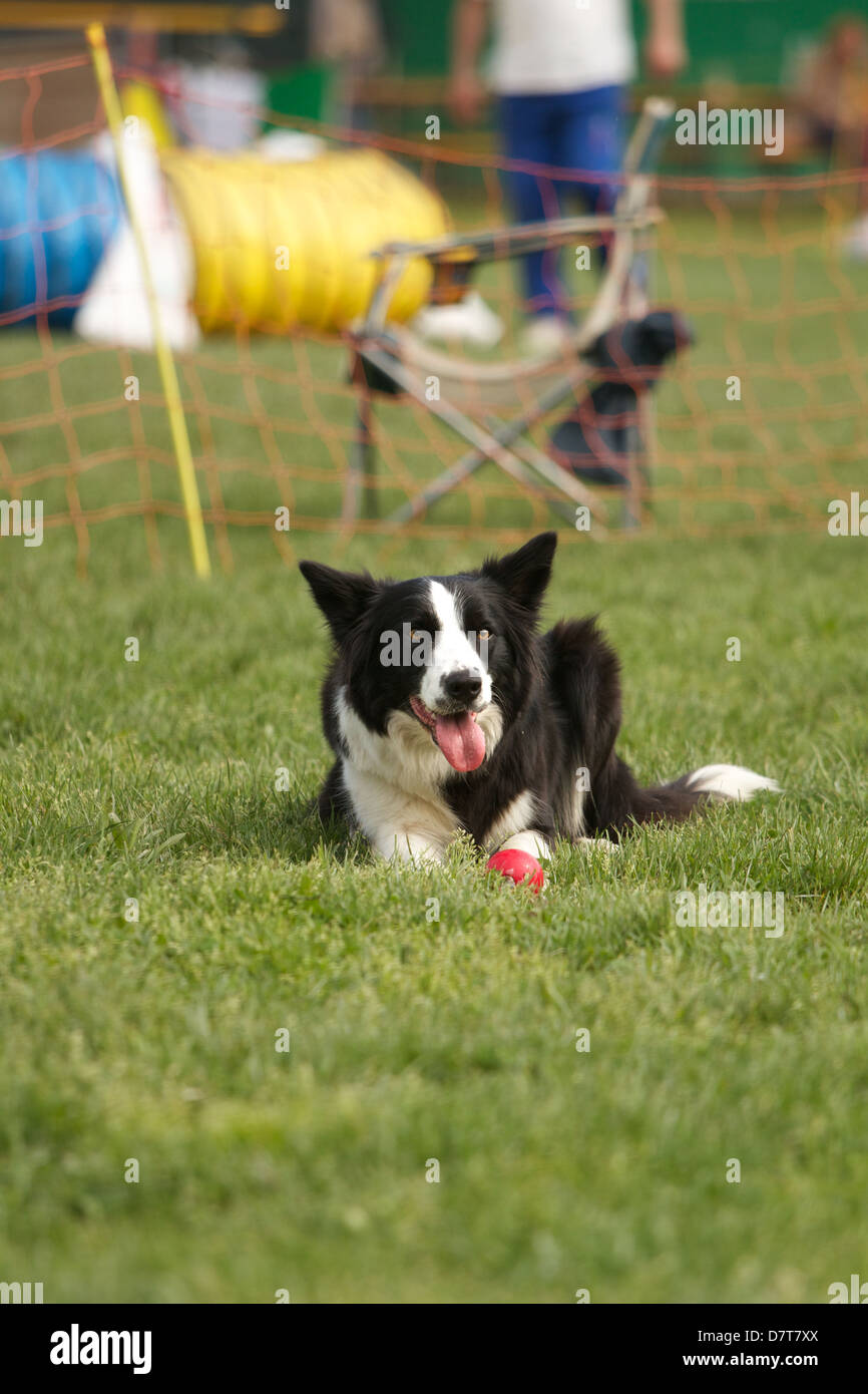 Agility and teamwork hi-res stock photography and images - Alamy