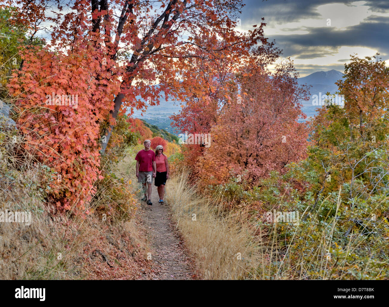 Above the shoreline hi-res stock photography and images - Alamy