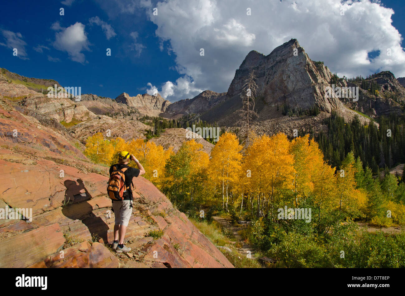 Uinta wasatch cache national forest hi-res stock photography and images ...