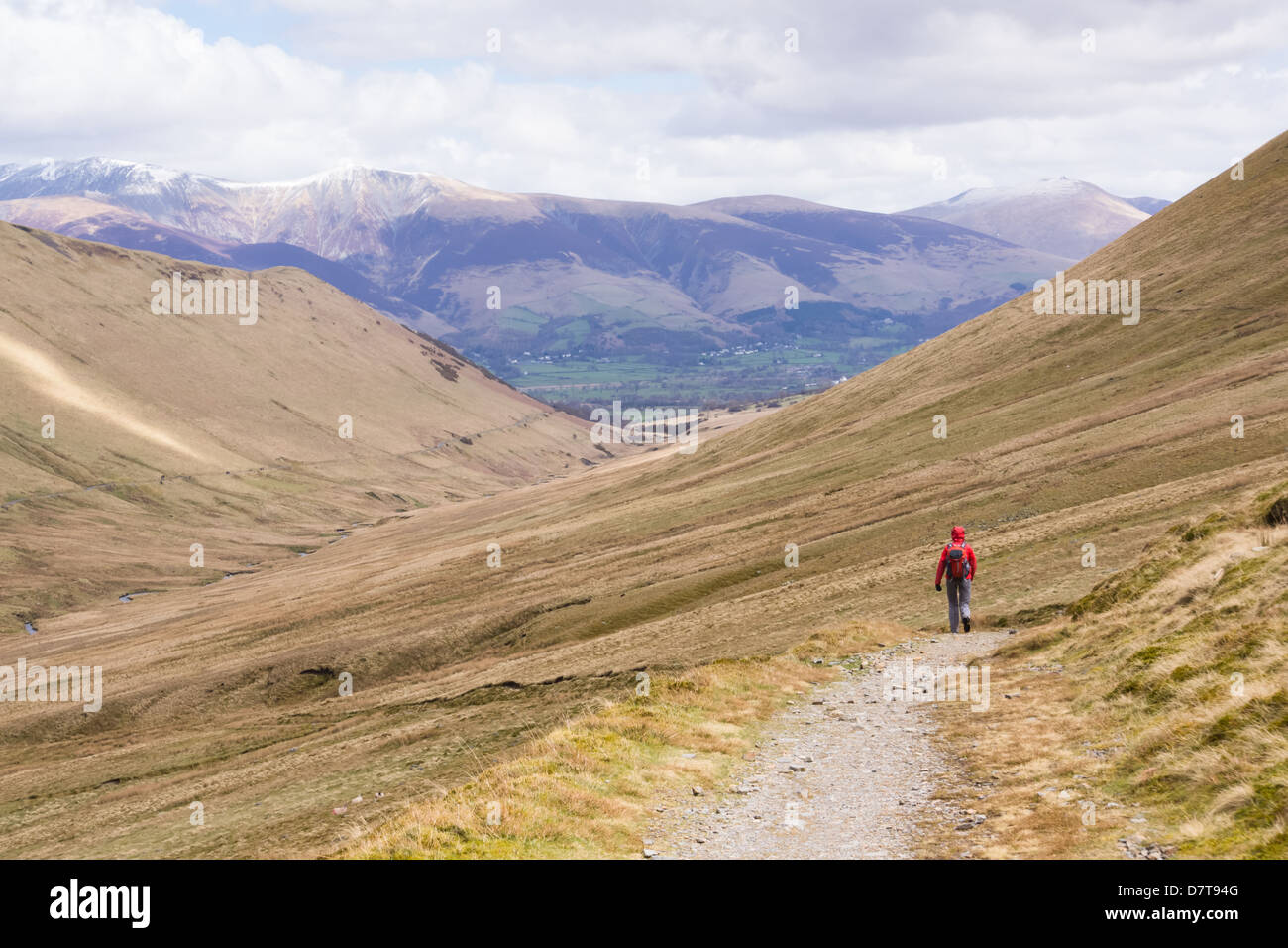 Hiker Walking along Coledale Beck in the Lake District Stock Photo - Alamy