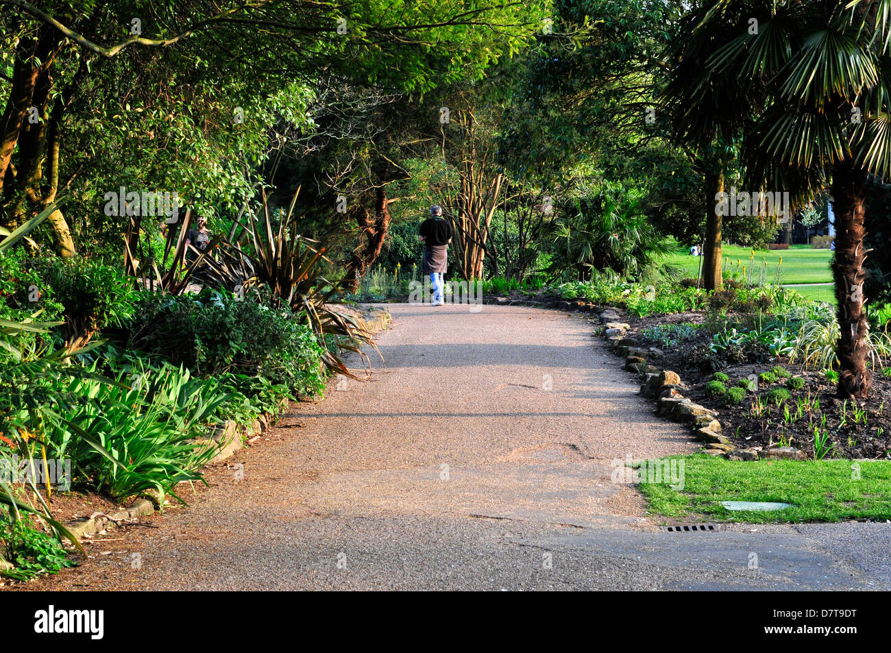 Man walks in landscape hi-res stock photography and images - Alamy