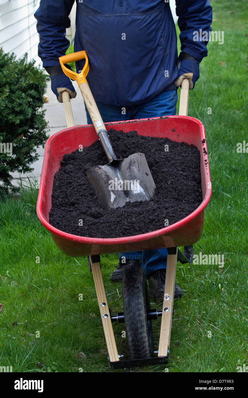 Spring work in the garden.A gardener pushing the full wheelbarrow with ...