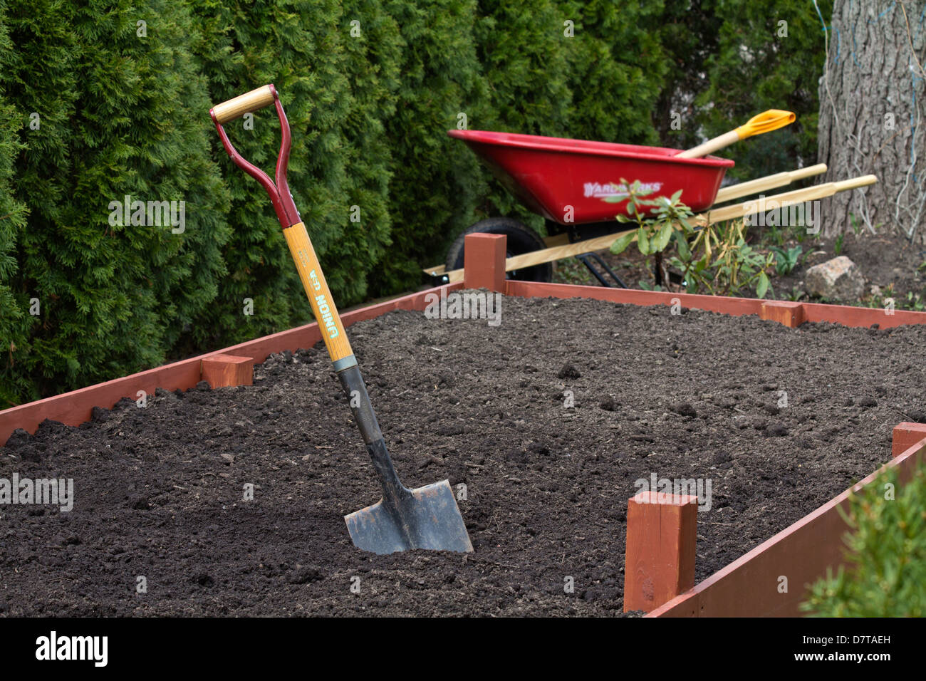 A spade in the soil in ground.Spring work in the garden.Raised ...