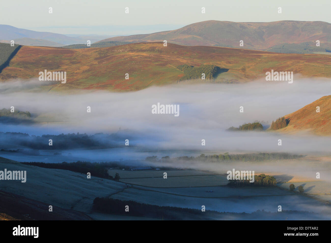 Autumnal Mist over Cademuir & Manor Valley in the Scottish Borders ...