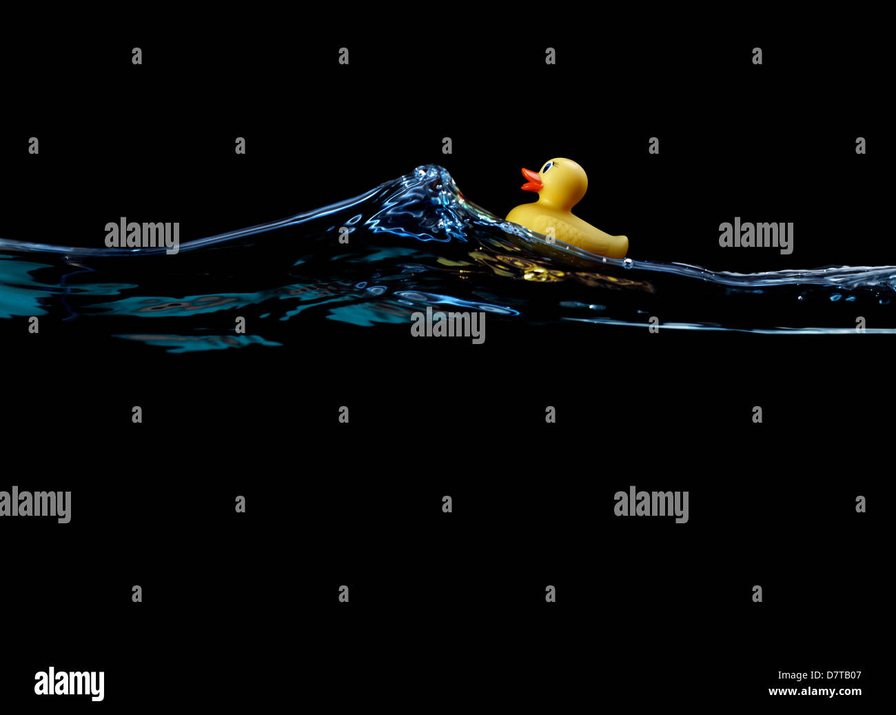 Rubber duck floating in water Stock Photo - Alamy
