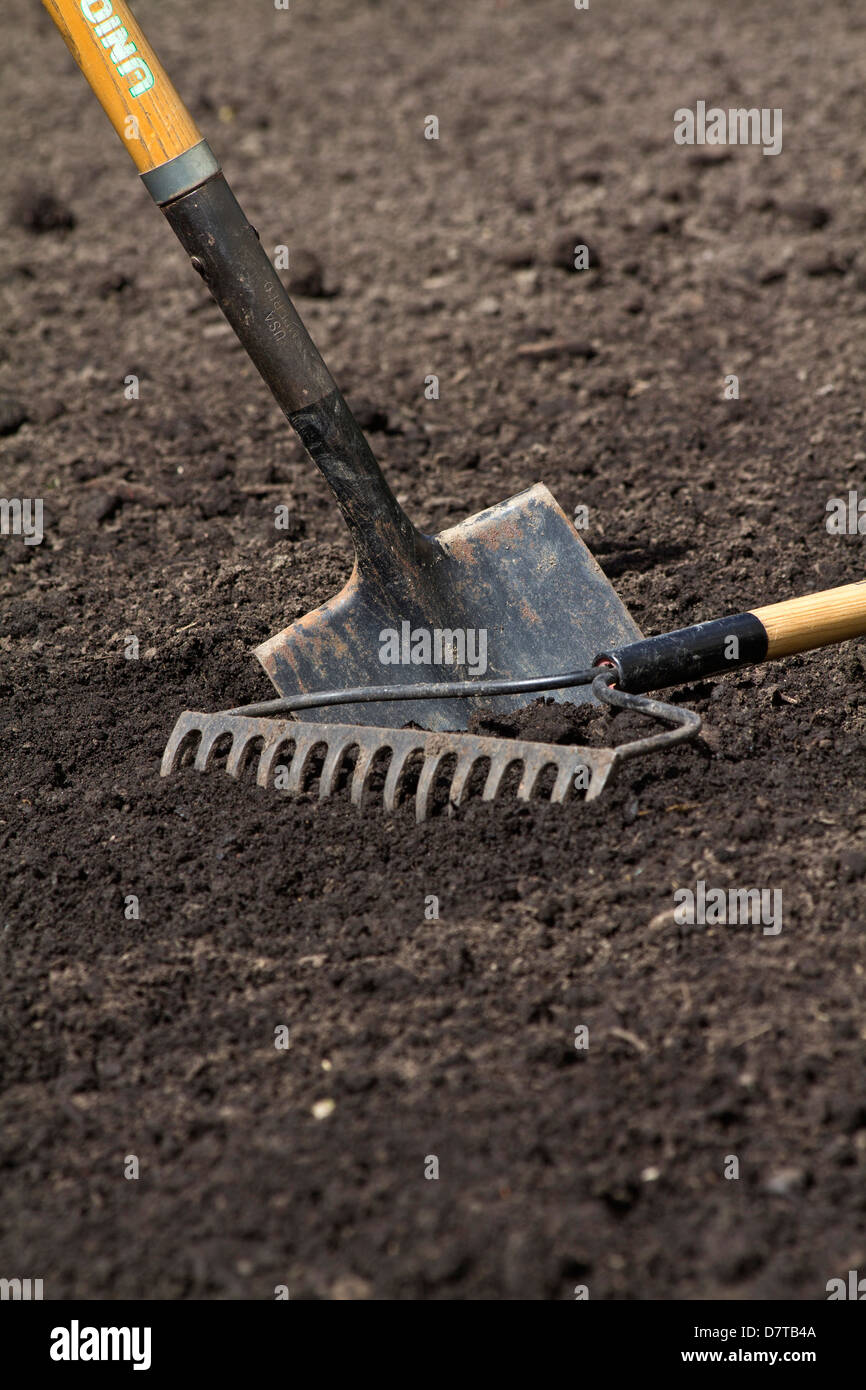 The spade in the soil on garden Stock Photo - Alamy