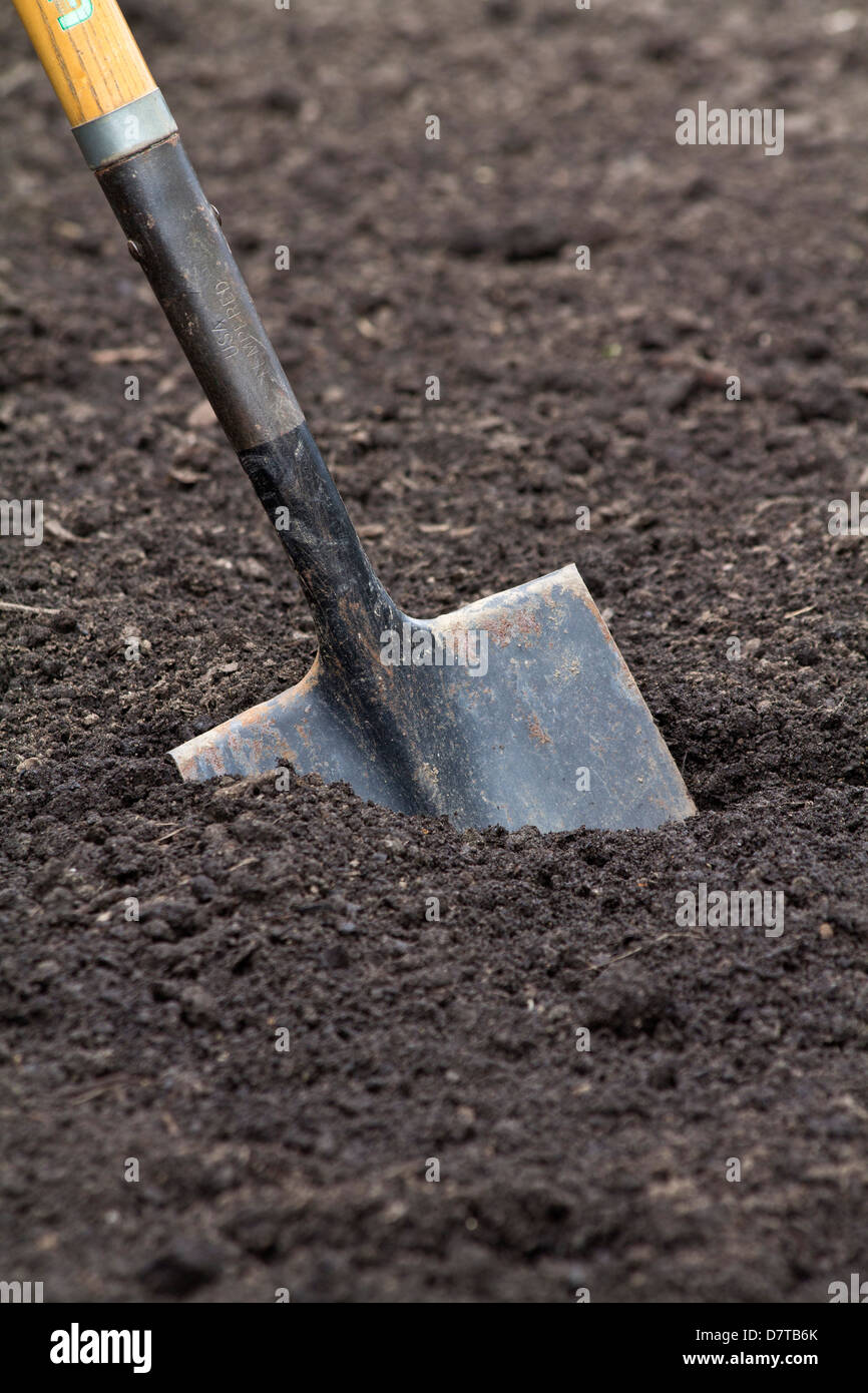 A spade in the soil in ground.Close up of preparation soil Spring work ...