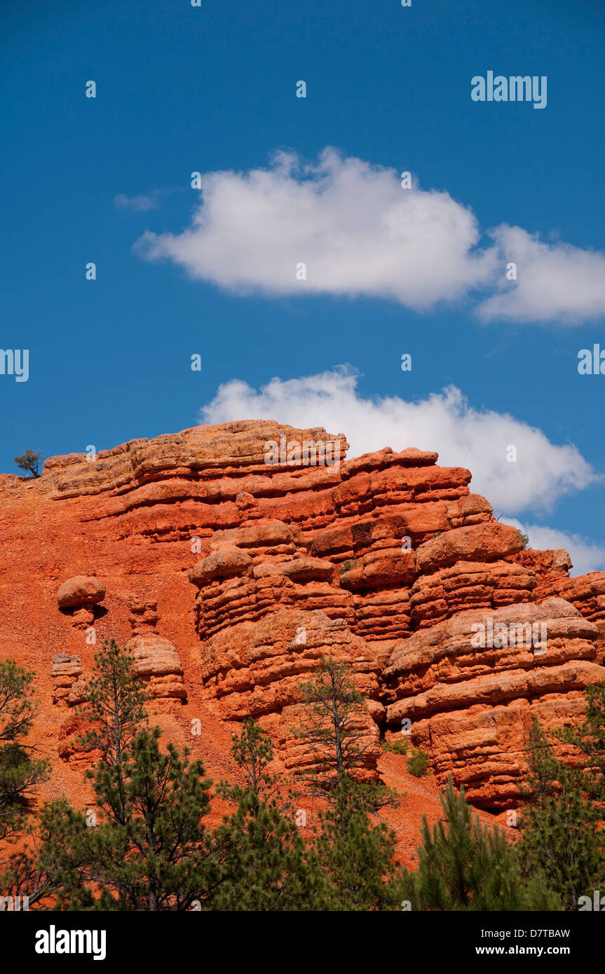 USA Utah, Red Canyon in Dixie National Forest near Zion National Park ...